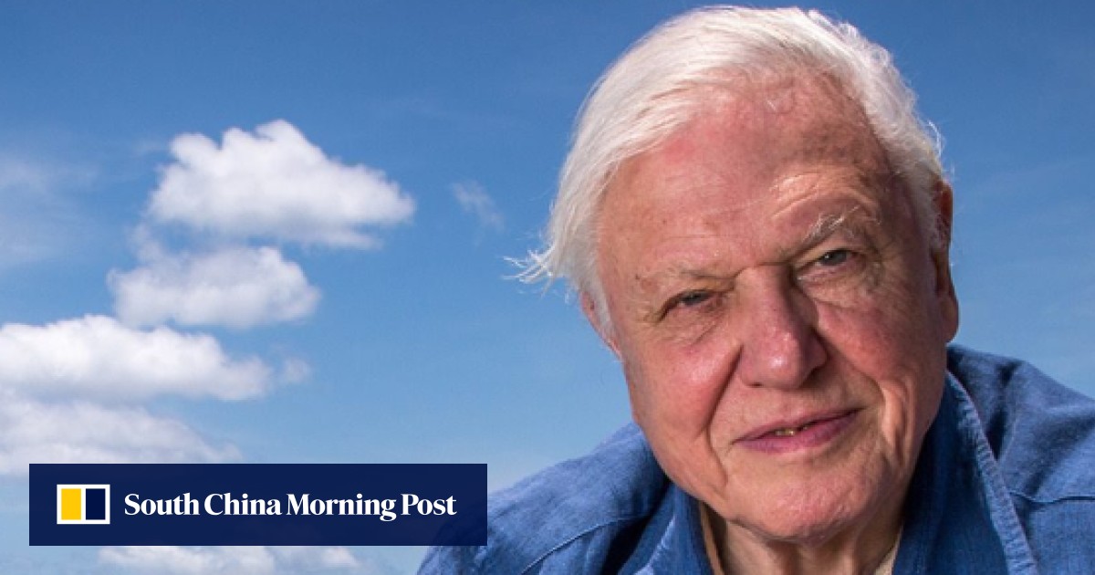 David Attenborough at 90: TV's last colossus looks ahead | South China ...