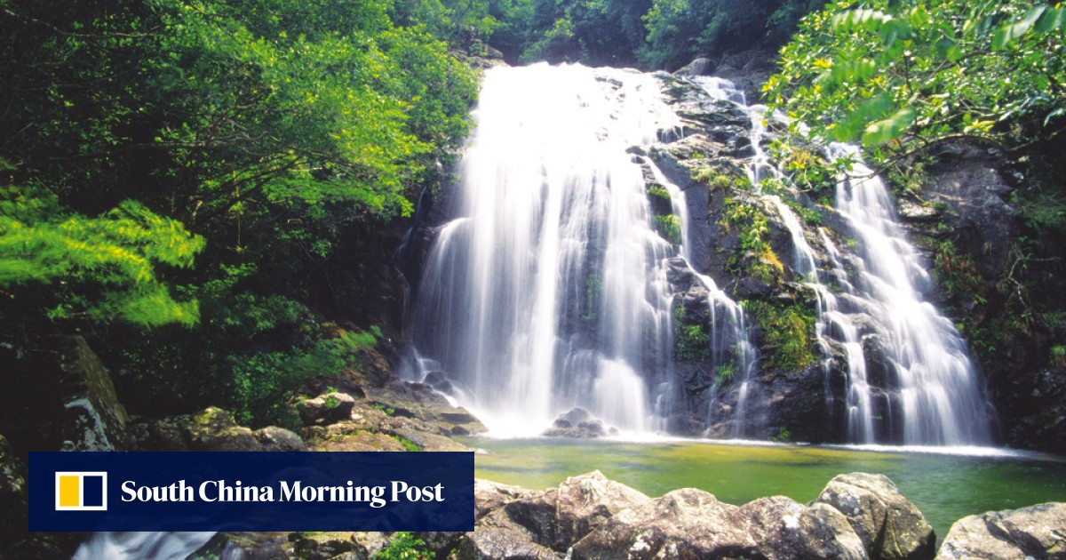The Hong Kong Falls | South China Morning Post