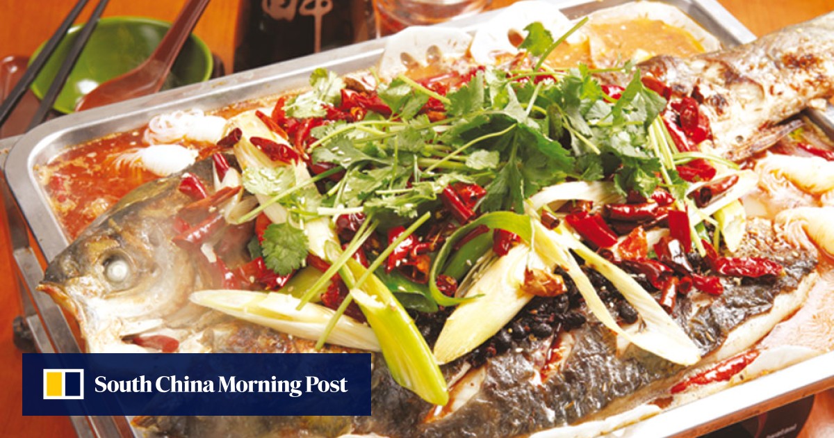 Chongqing Express | South China Morning Post