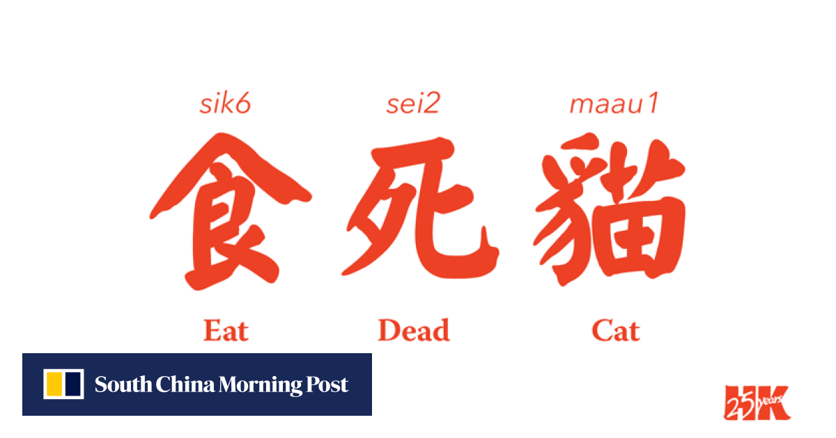 Eat Dead Cat | South China Morning Post