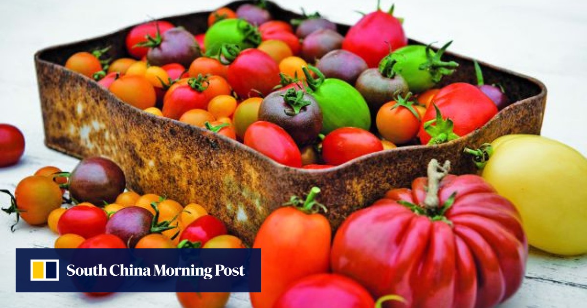 Foodie Evolution | South China Morning Post