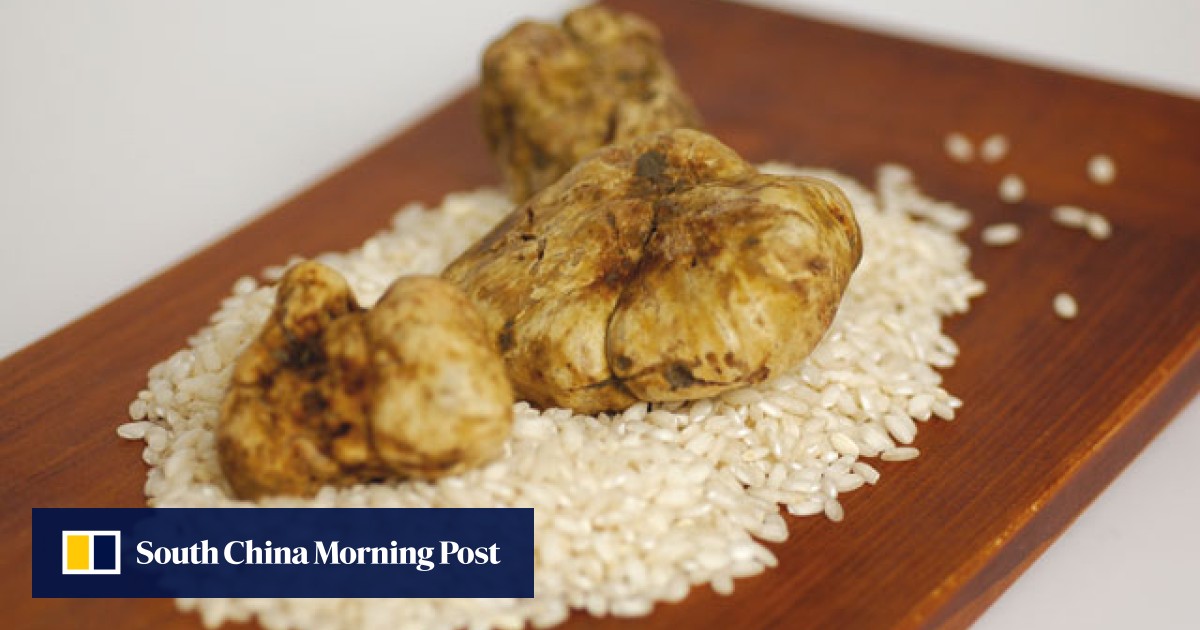 Trufflin’ Matters | South China Morning Post