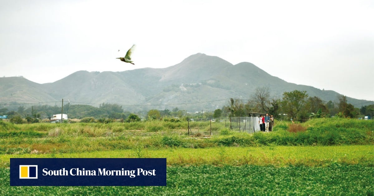 Whose Land is it Anyway? | South China Morning Post