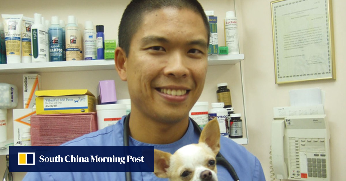 Justin Choo: Vet from Island Veterinary Services | South China Morning Post