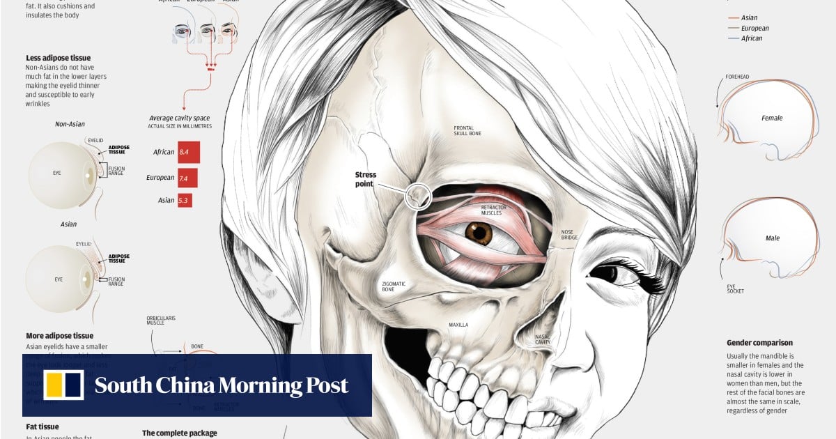 How the Asian face got its unique characteristics | South China Morning ...