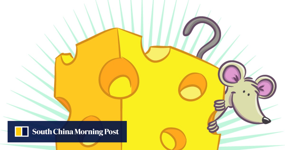 Can the Second Mouse Get the Cheese? | South China Morning Post