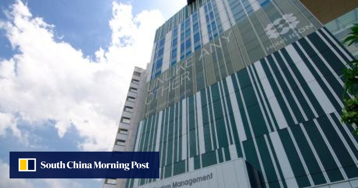 Here's What's (Probably) on Your Legco Ballot Paper | South China ...