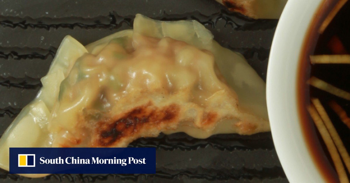 Asian dumpling recipes: Japanese gyoza, and Korean pork and kimchi ...