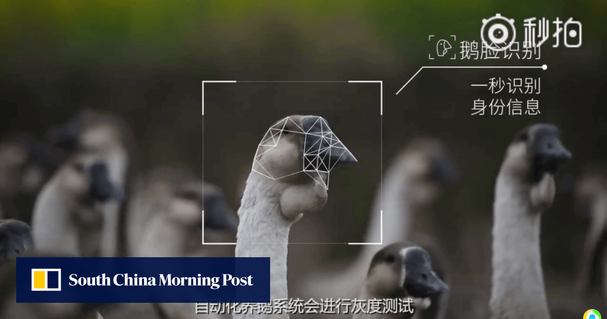 Three April Fool’s Day gags that are almost too real | South China ...