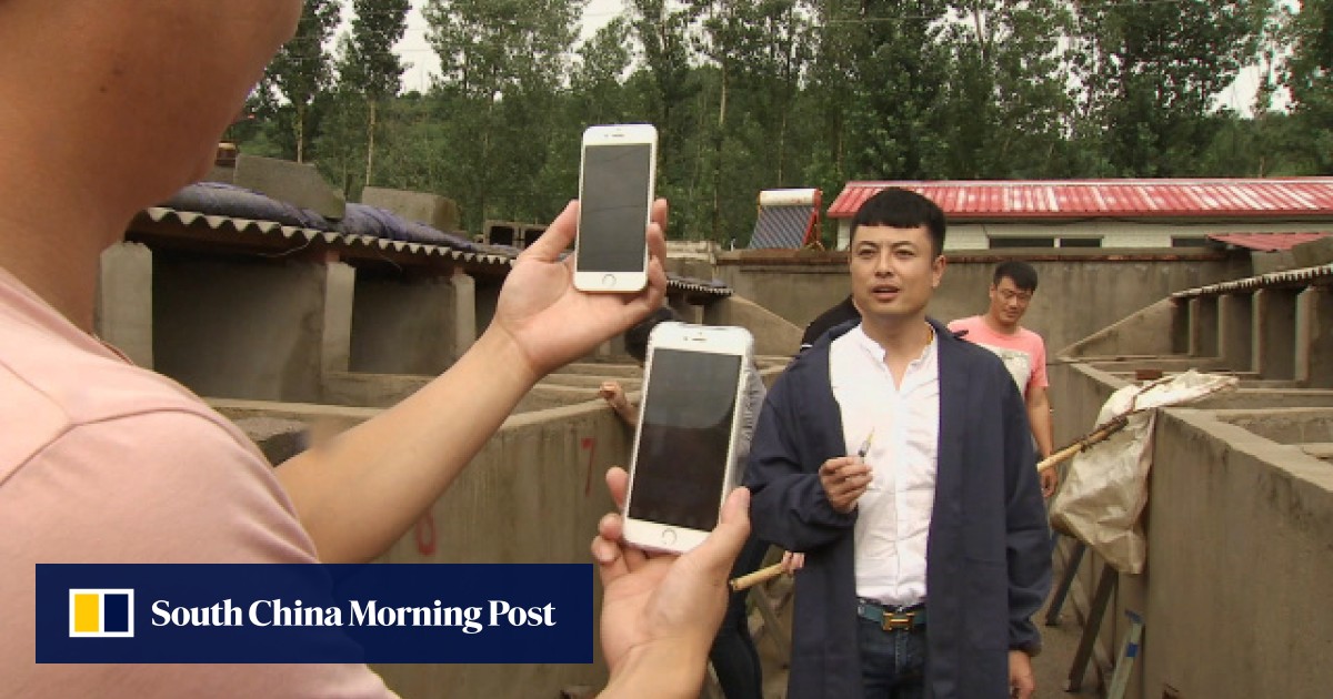 Some of the biggest users of live streaming in China are not teenagers ...