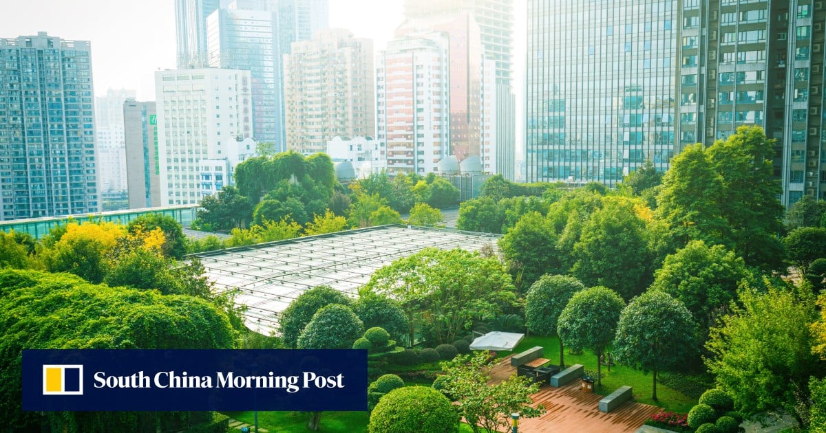 BDO ESG Awards heightens the role of business in driving net zero ...