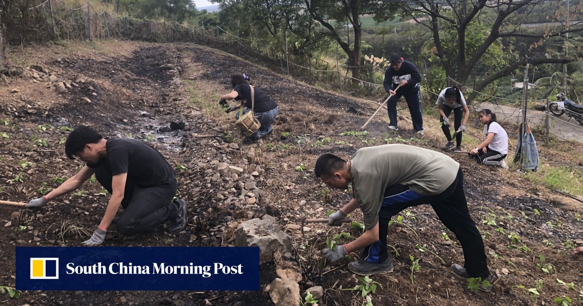 Something different to do in Taiwan: farm stay gives glimpse of tribal ...