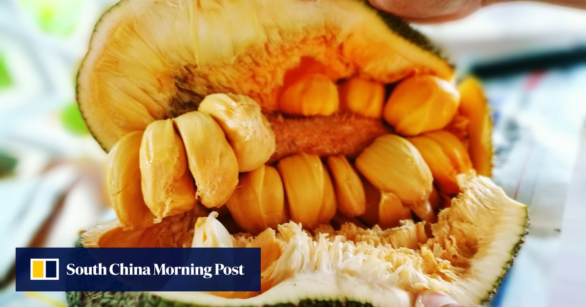 jackfruit environmental impact