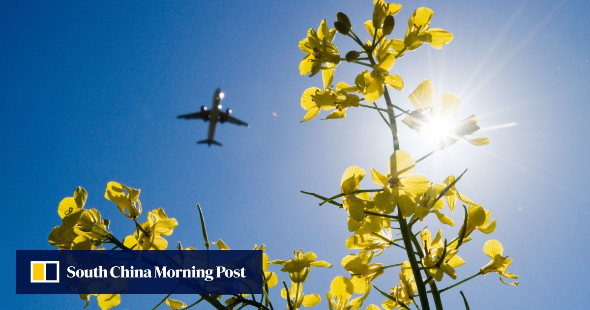 Flying is terrible for the environment. Bio-fuels offer a solution to ...