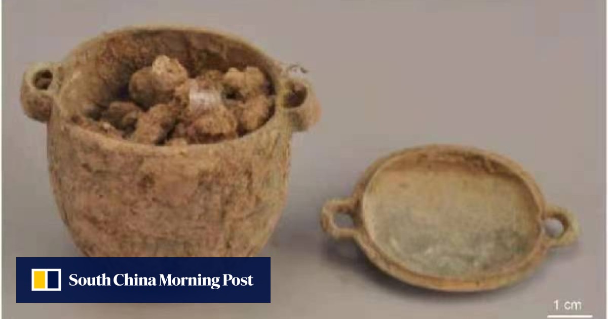 Chinese scientists discover skin whitening cream for a man from 2,700 ...