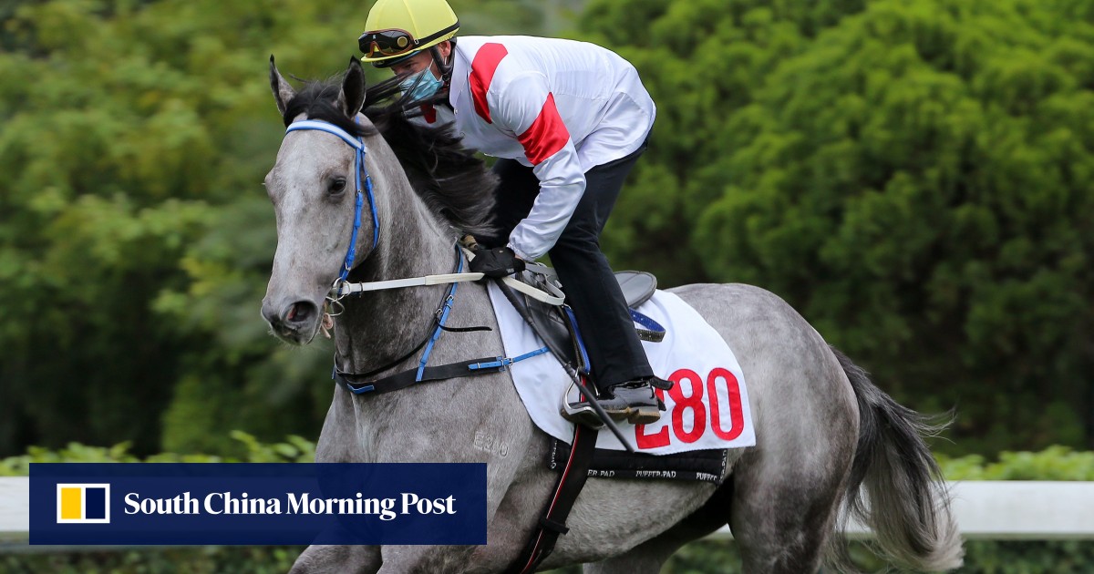 Star sprinter Classique Legend out of Hong Kong’s April features, will ...