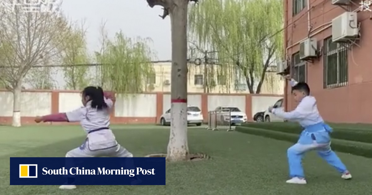Chinese PE classes might train the next kung fu master | South China ...