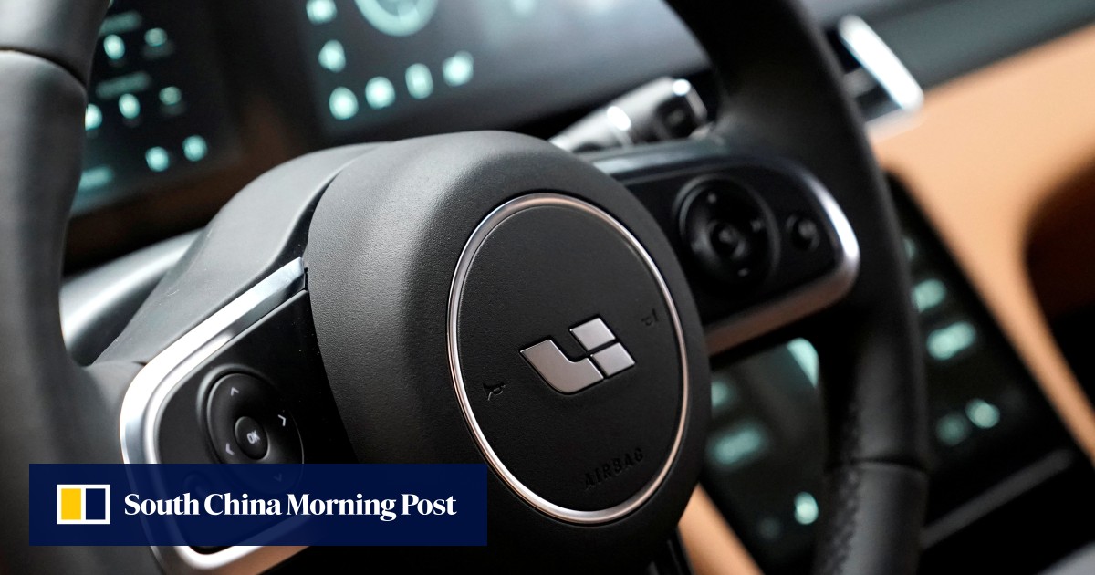 Chinese electric vehicle start-up Li Auto raises US$750 million from ...