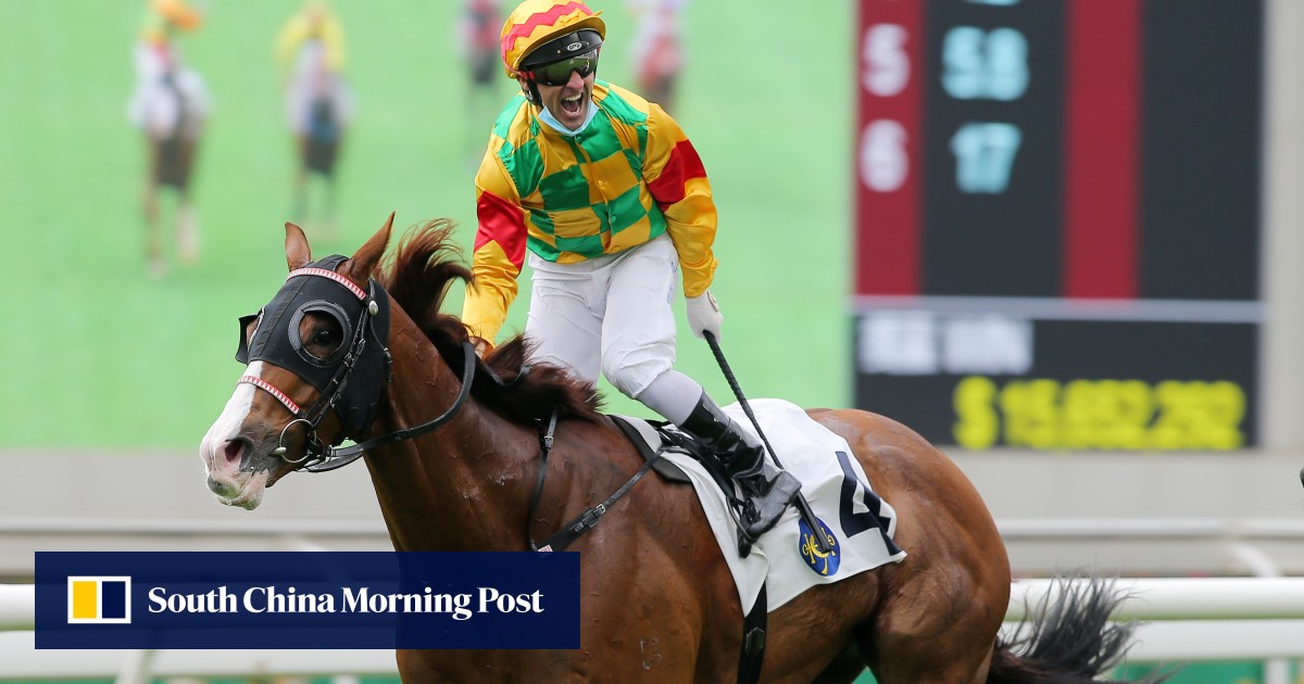 Neil Callan to appeal controversial 28-meeting suspension | HK Racing ...