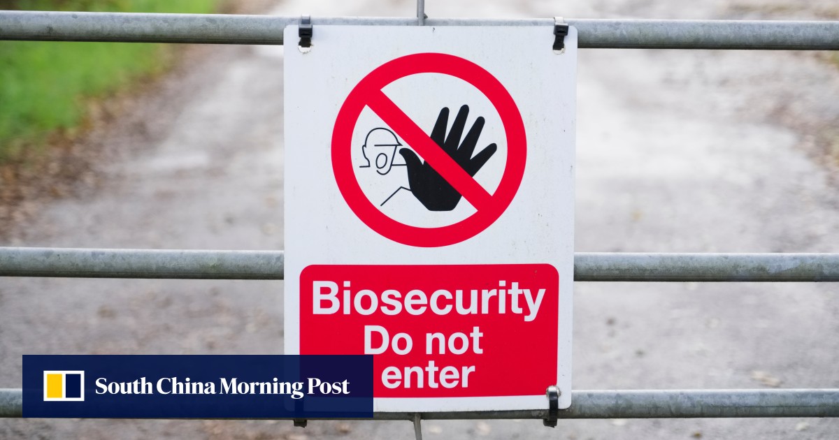Legal experts urge people to take new Chinese biosecurity law seriously ...