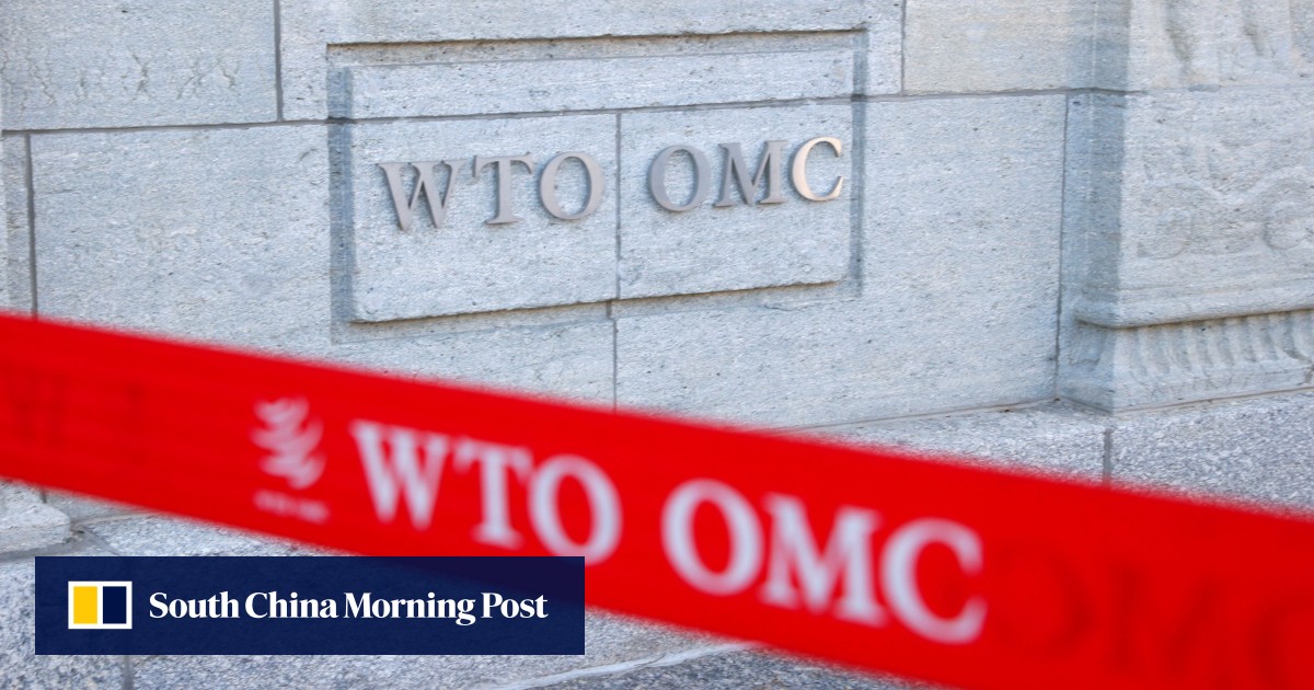 China ‘central To Wto Reform Global Trade Chief Ngozi Okonjo Iweala