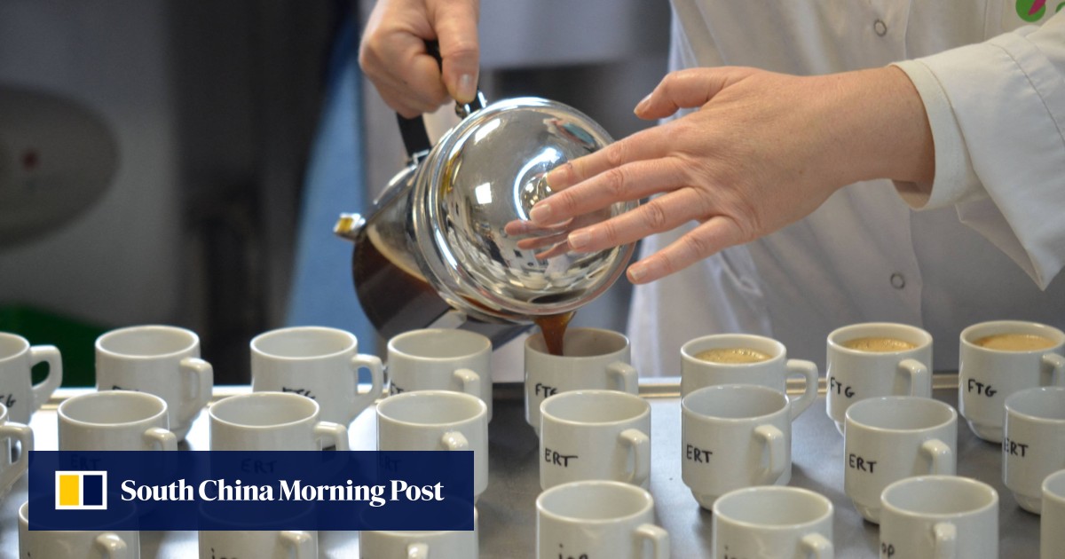 Future-proof coffee? Scientists rediscover rare ‘climate resilient ...