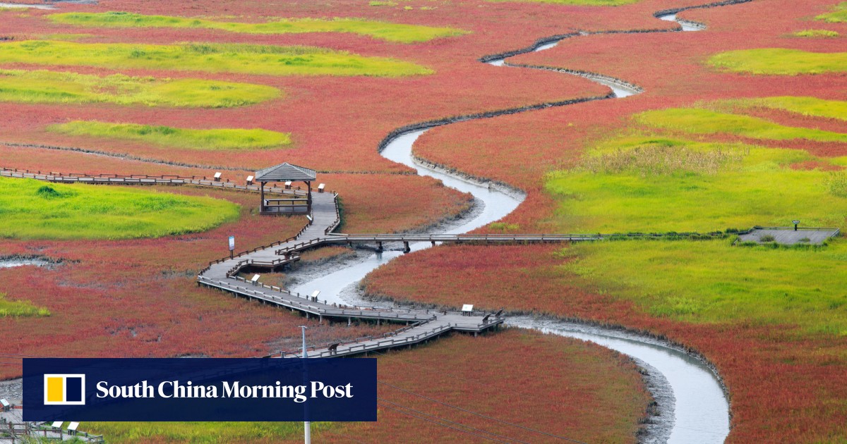 Three East Asian sites added to Unesco World Heritage list for their ...