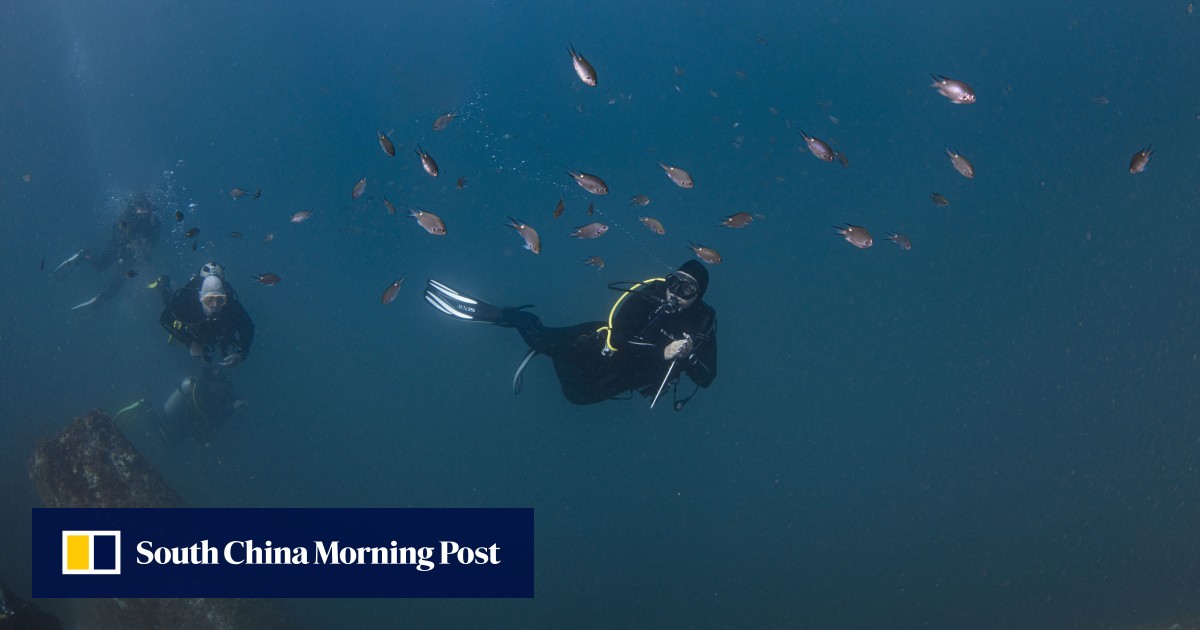 Hong Kong dive sites clean-up, fish and coral counting and campfire ...