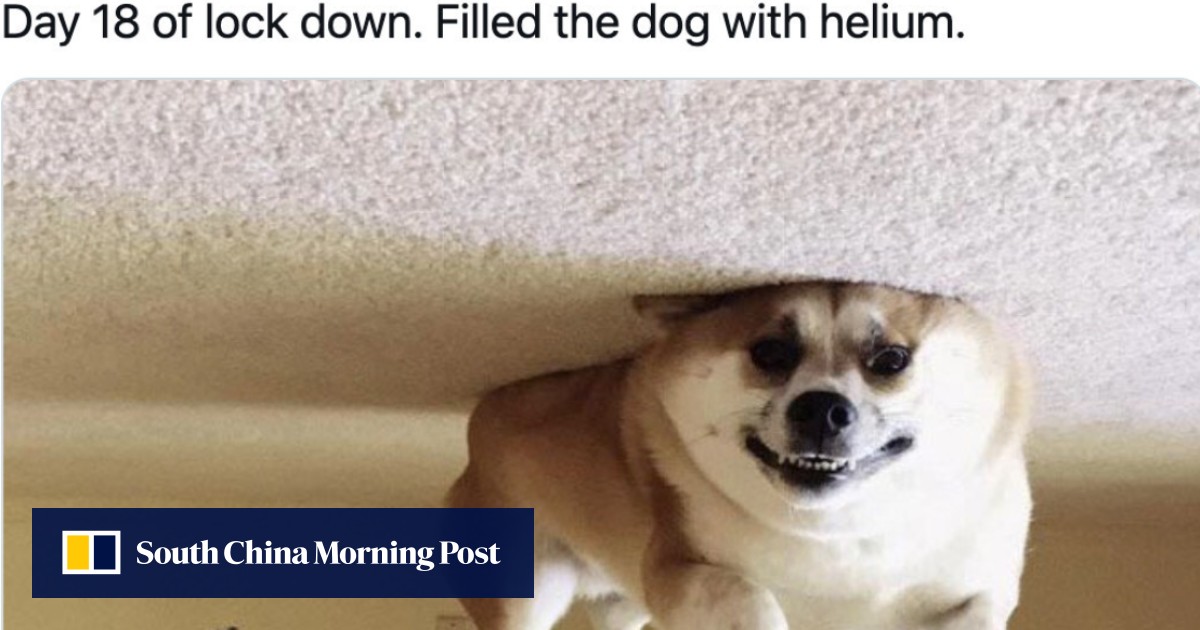 Funny memes online are helping people cope with the coronavirus ...