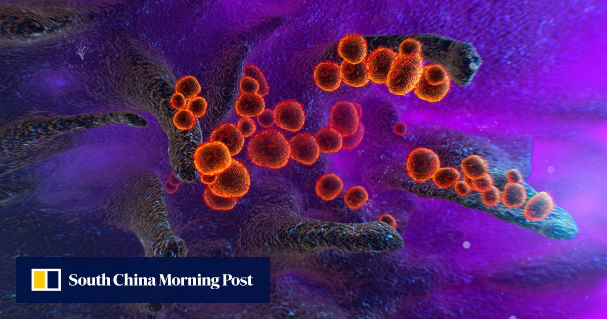 Coronavirus origins: WHO’s Sago experts sit down for first meeting ...