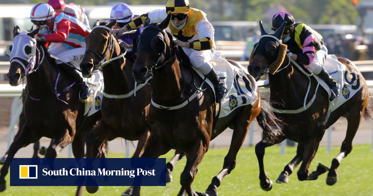 David Hall’s ‘old marvel’ still Flying as he chases repeat success | HK ...