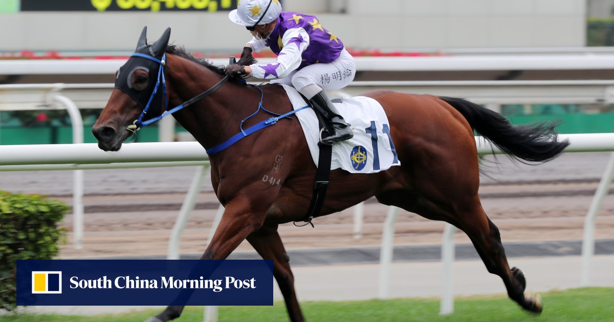 Jimmy Ting hopes the future is bright for troubled talent: ‘I think he ...