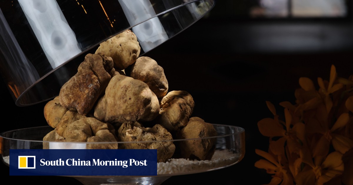 Where to eat seasonal white truffle in Hong Kong: whether grated over ...
