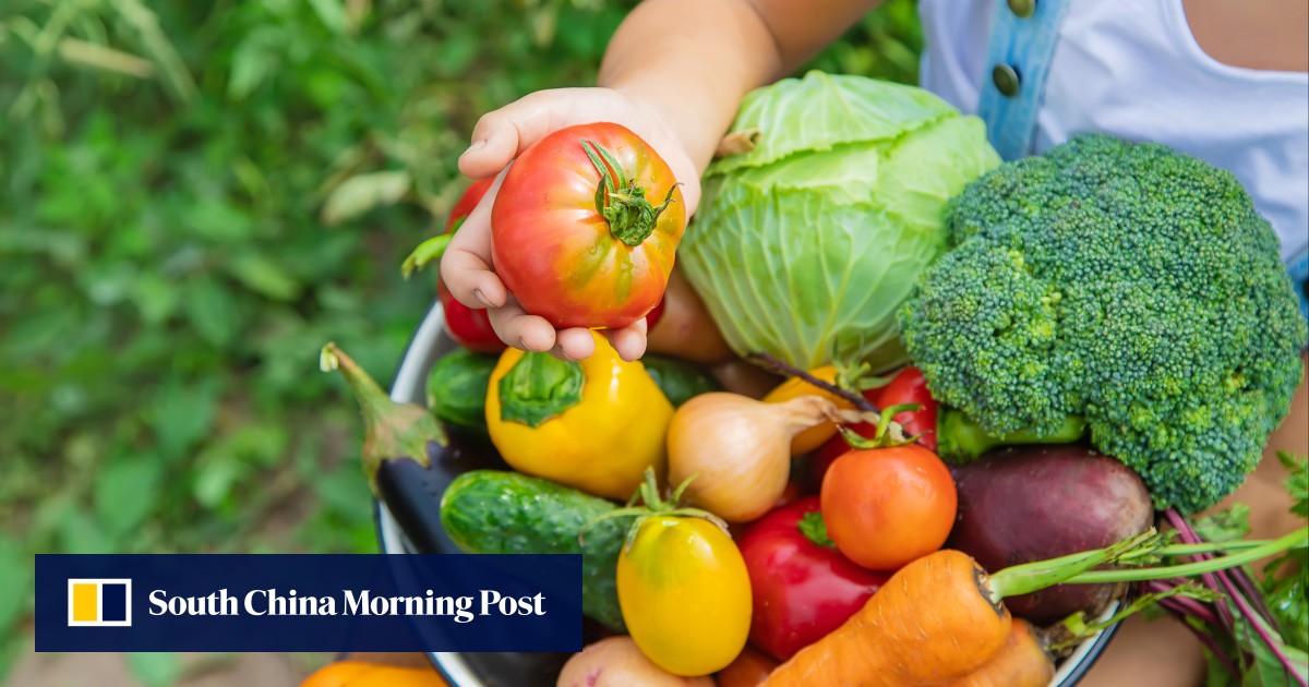 10 tips for lowering your carbon footprint in 2022 with a climatarian ...