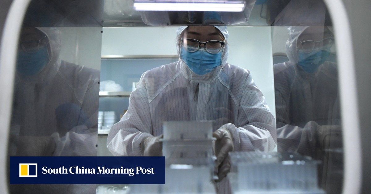 As China’s Covid-19 test kit orders surge globally, manufacturers are ...