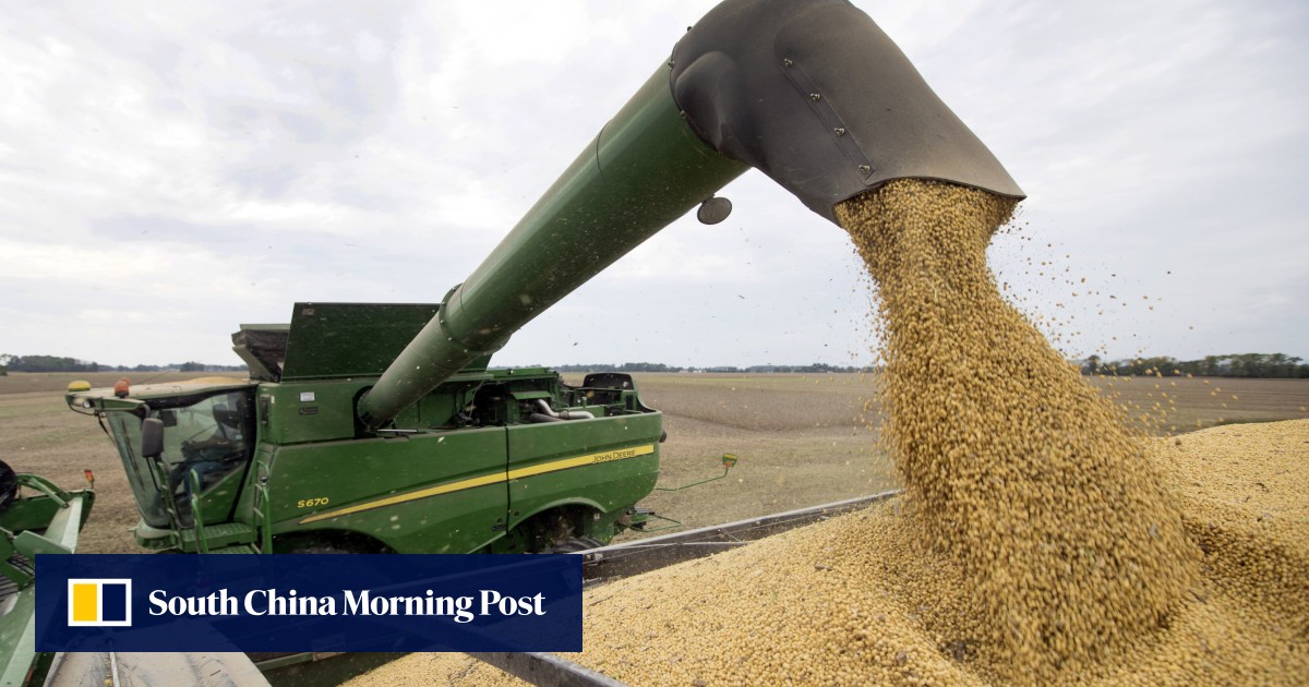 China’s soybean production to increase 40 per cent by 2025 amid food ...
