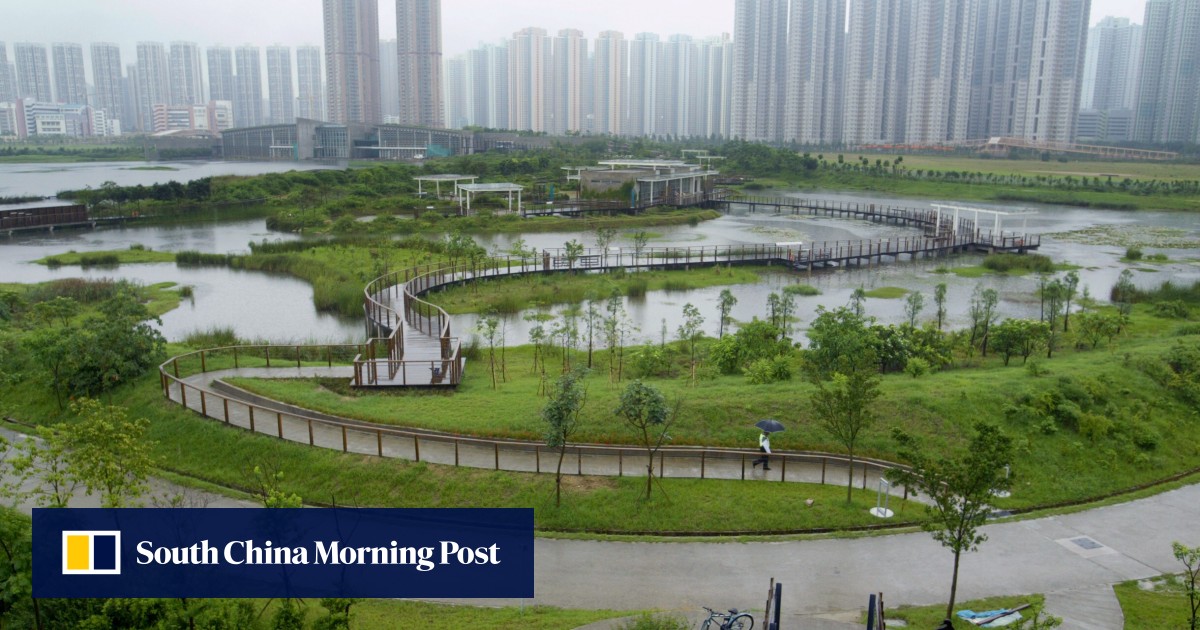 When Hong Kong opened its Wetland Park – the biggest in Asia – in 2006 ...