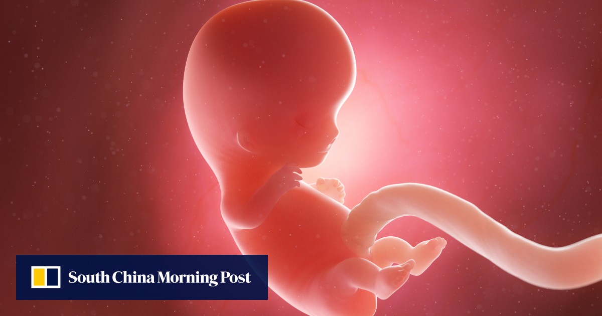 Chinese scientists create AI nanny to look after embryos in artificial ...