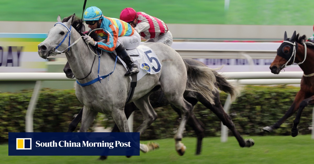 Hong Kong Derby contender Senor Toba out to cement Classic Cup claims ...
