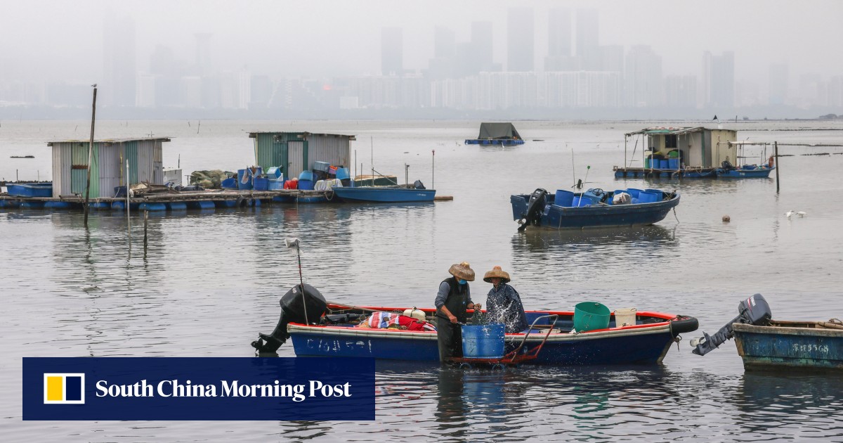 Letters Hong Kong Doesnt Need Two ‘metropolises To Solve The
