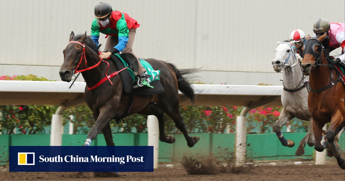 Derek Leung out to catch another Classic Cup with improving galloper ...