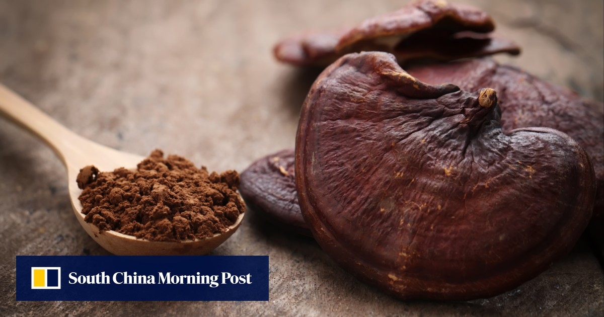 The ABC of adaptogens and why they are a wellness trend: mushrooms ...