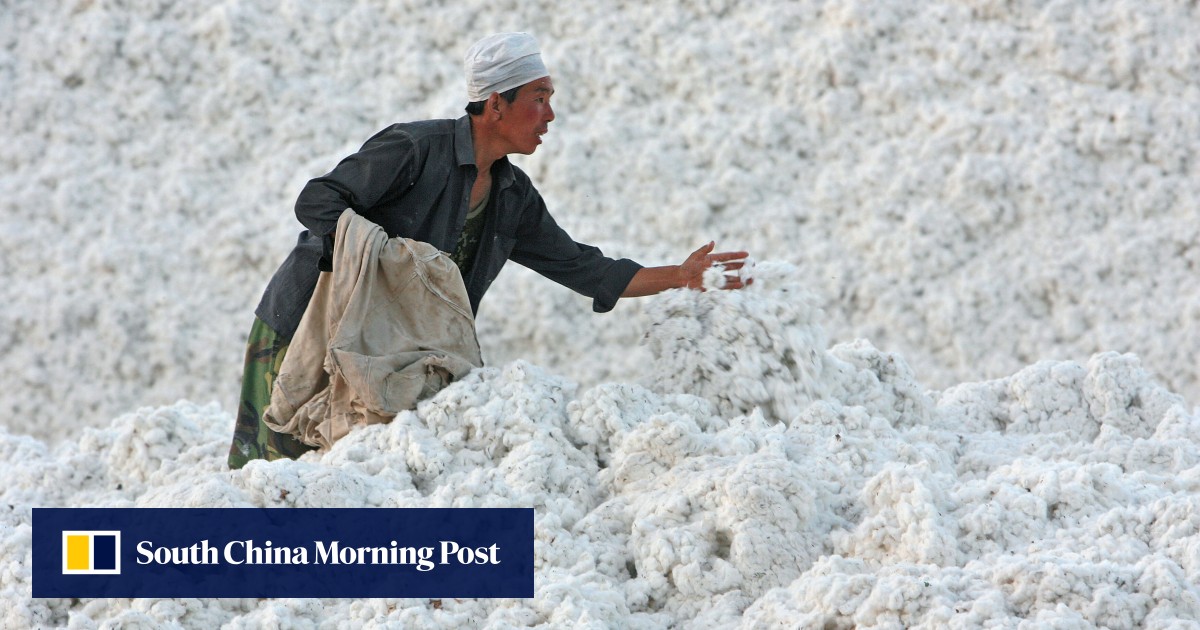 EU to punish rights abuses in supply chains, with forced labour ban to ...