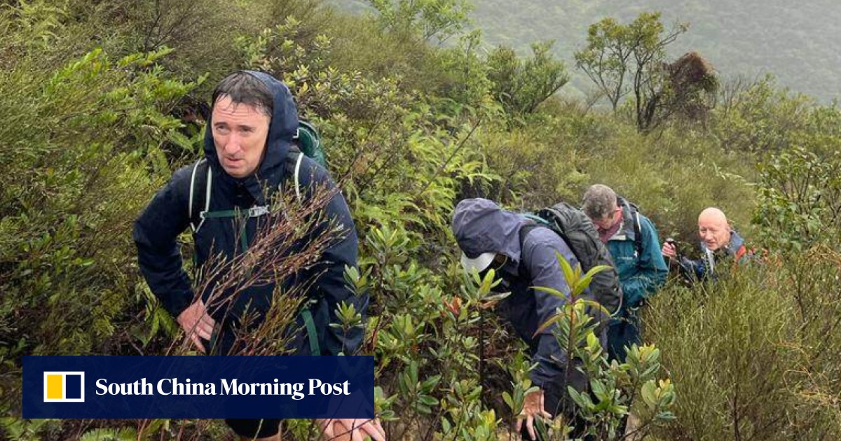 Group of hikers in their 50s and 60s conquer Hong Kong’s 50 highest ...