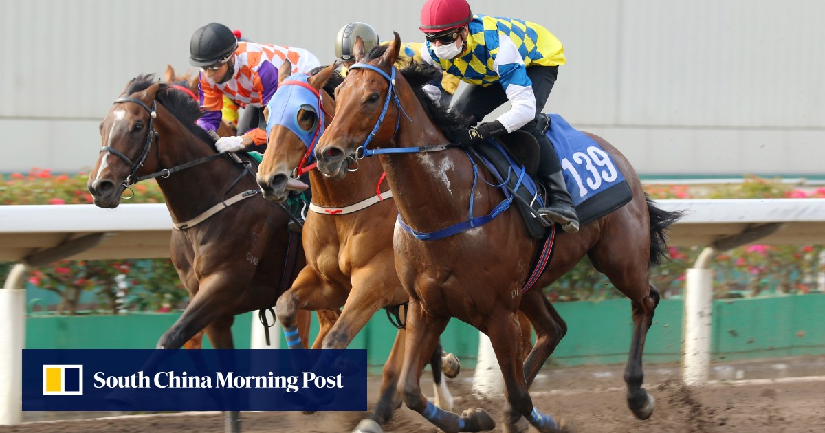 Jimmy Ting wants big run from new recruit Computer Patch as he aims to ...