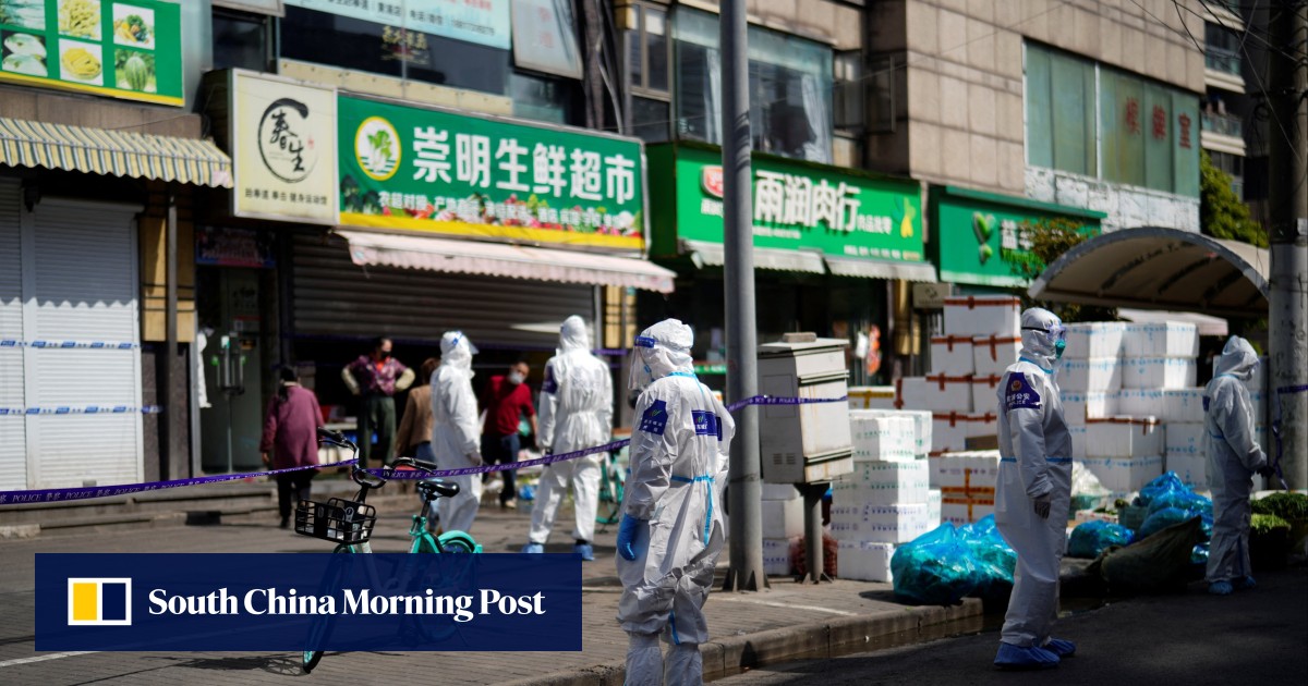 Shanghai’s key chip factories look to ensure production and deliveries ...