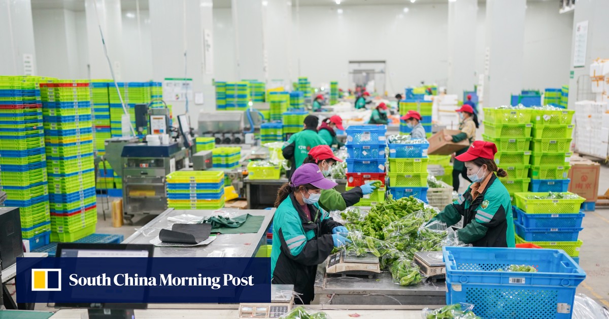 Shanghai lockdown life: a daily scramble for food, community burger ...