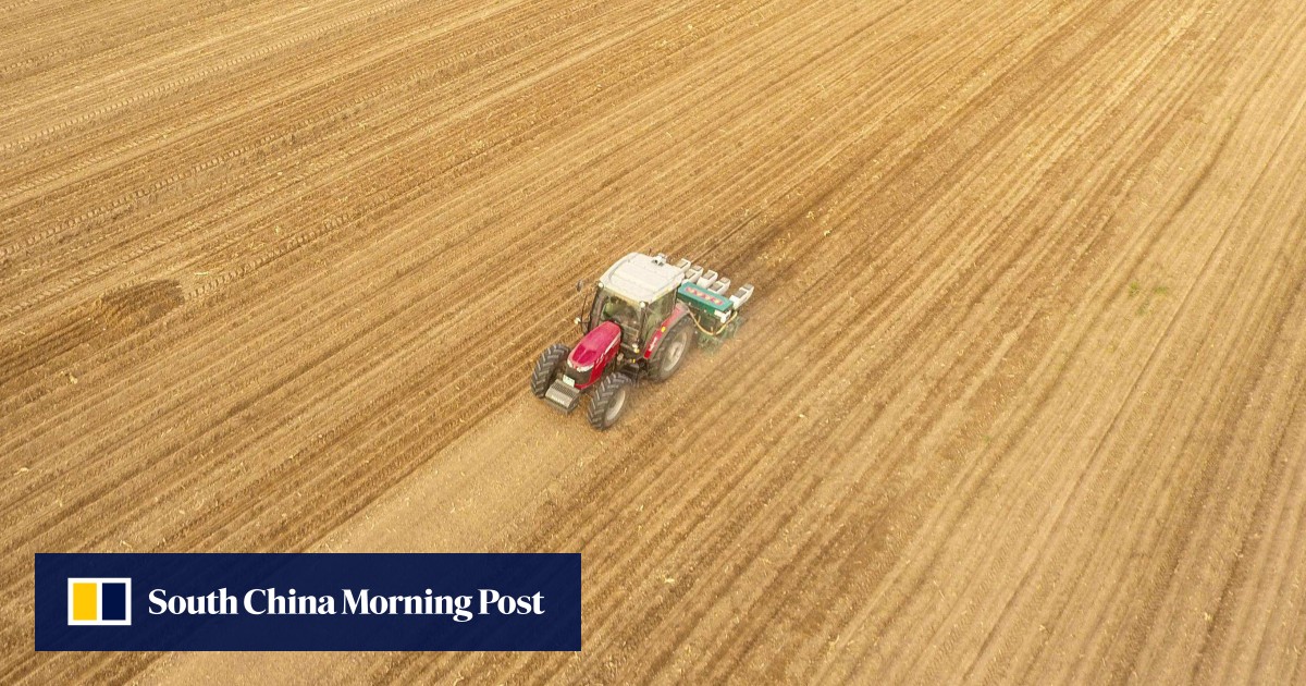 China food security: Beijing doubles down on domestic soybean push amid ...