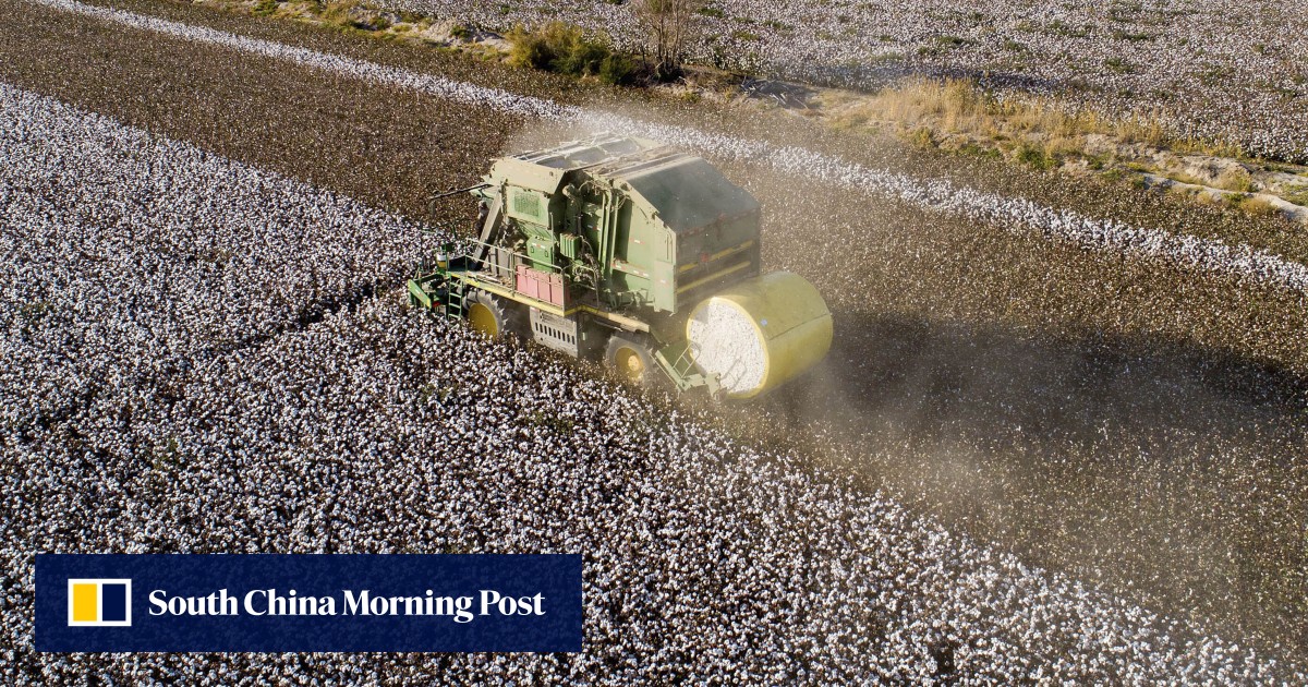 Lawmakers pressure EU for full ban on trade of goods made with forced ... Lawmakers pressure EU for full ban on trade of goods made with forced ...