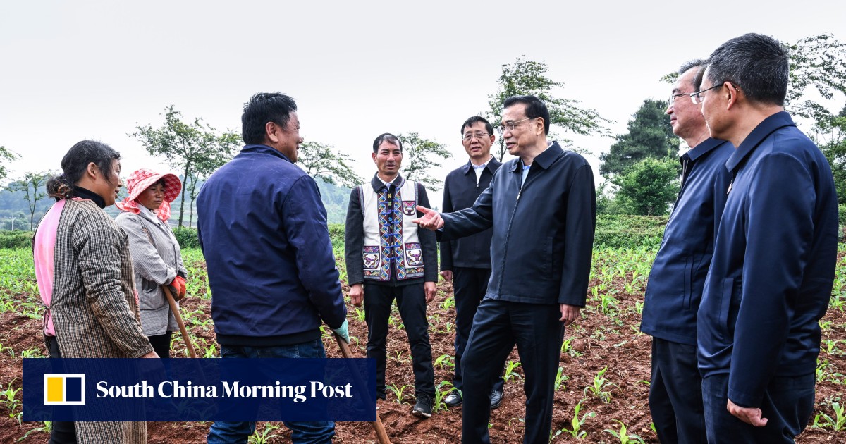 China pledges US$1.5b in grain farmer subsidies to offset soaring ...